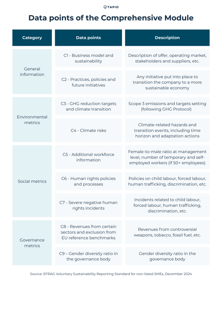 VSME 2025: Complete Guide - Tapio